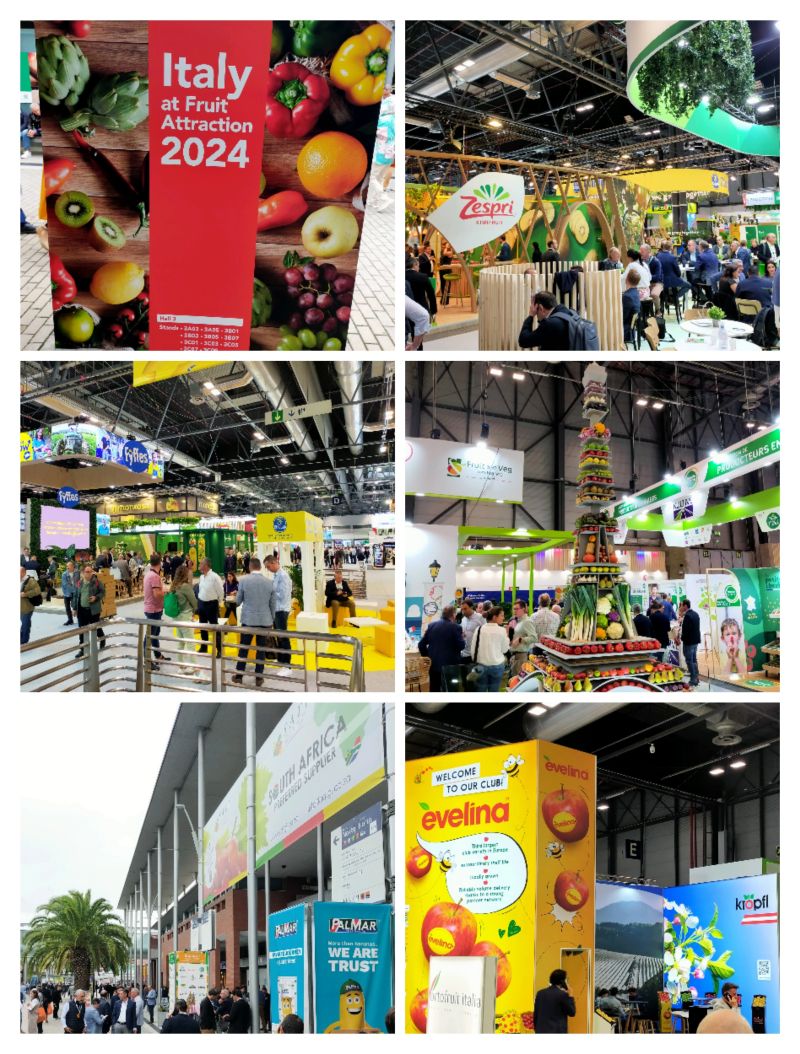 Fruit Attraction: Day 1 - Isolcell Storage Division
